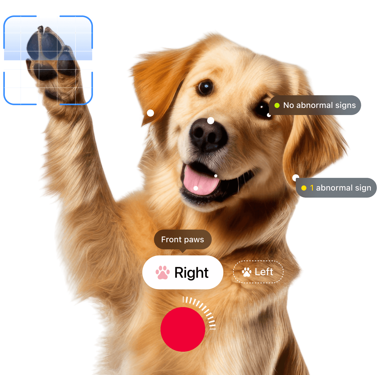AI For Pet - Making Pet Care Accessible for All